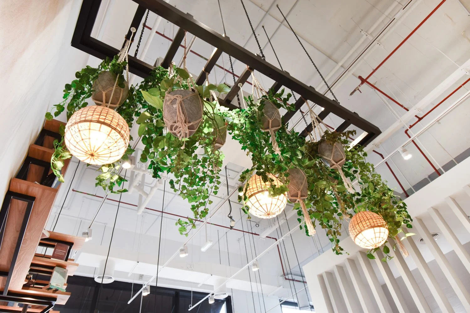 Community Cafe (Sharjah Branch) — SOSA