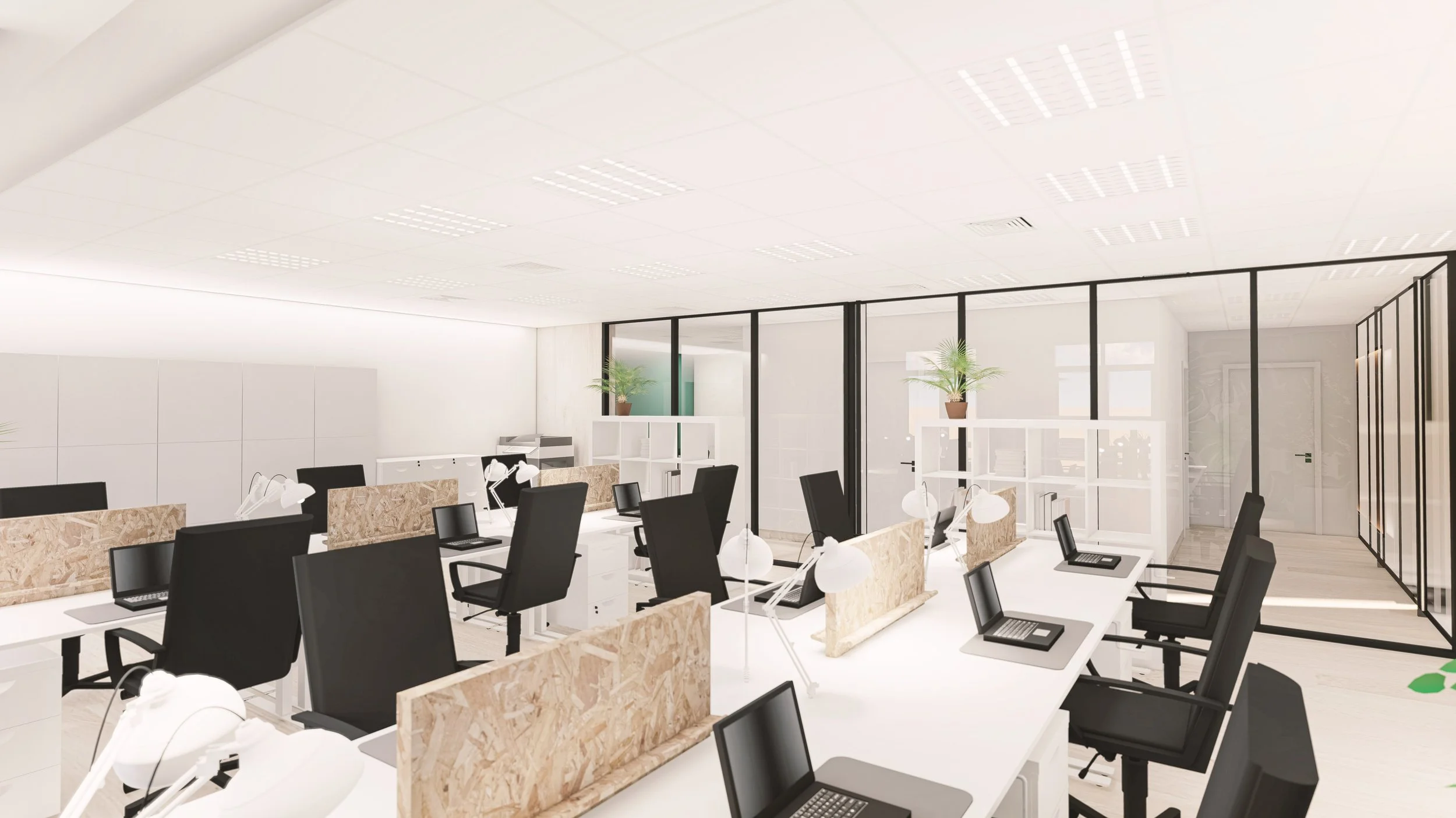 Fen Office — SOSA