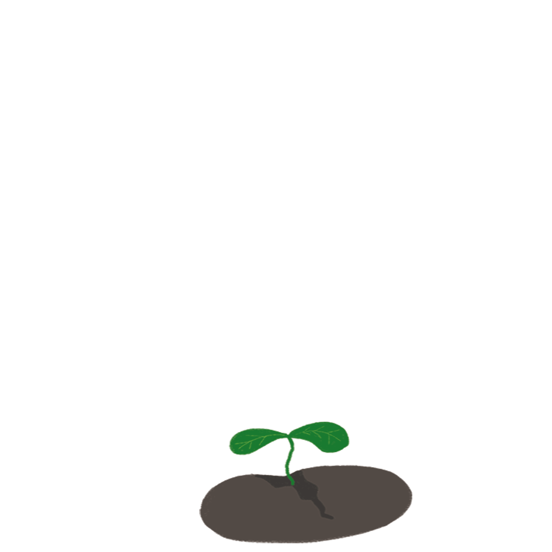 Plant Growing Gif