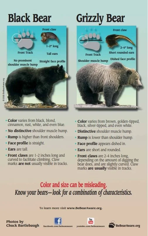 People and Carnivores