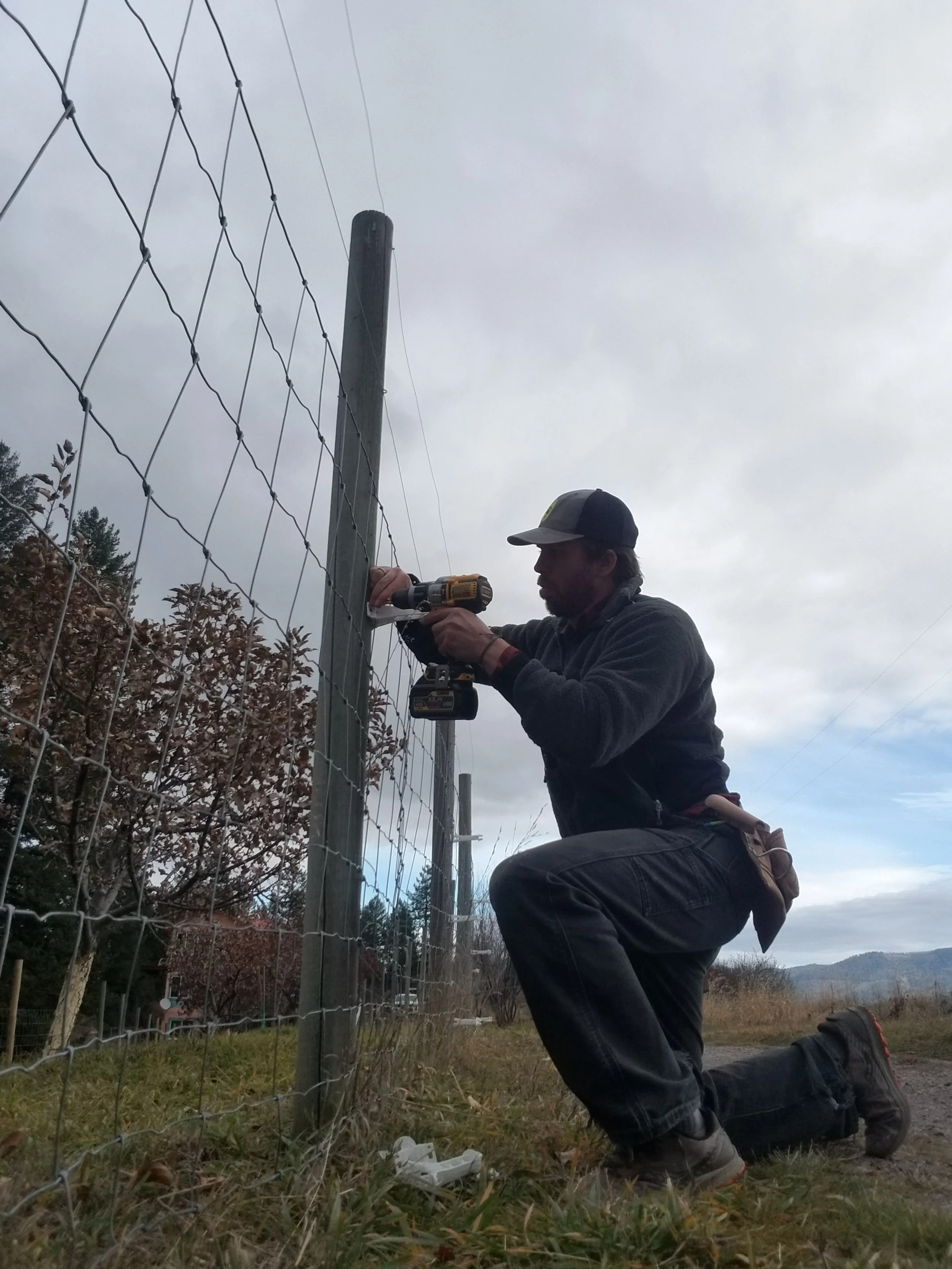 People and Carnivores