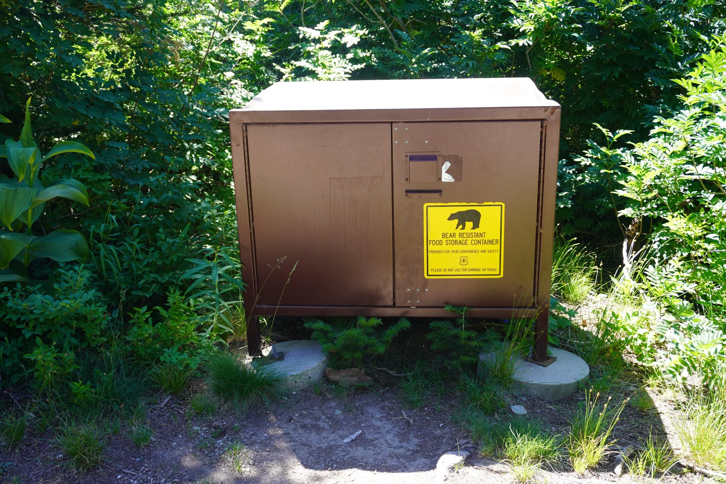 People and Carnivores