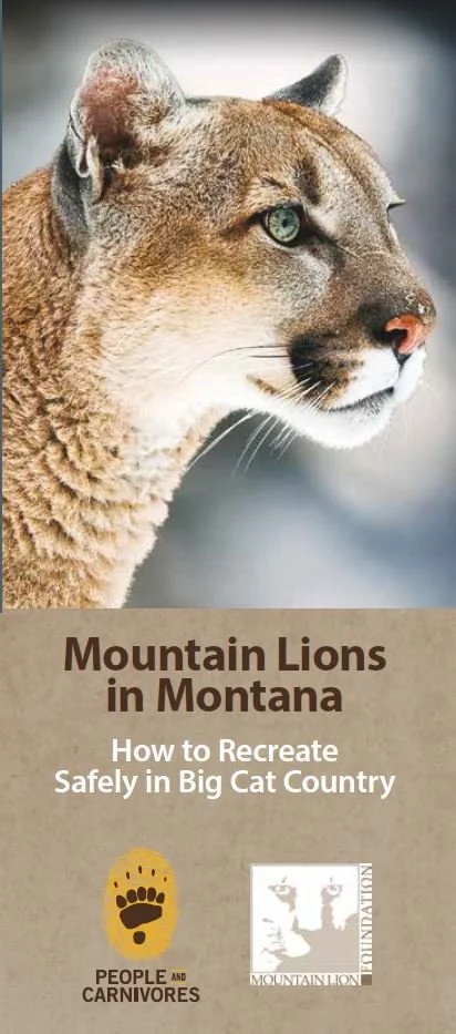 People and Carnivores