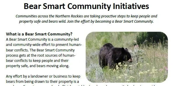 People and Carnivores