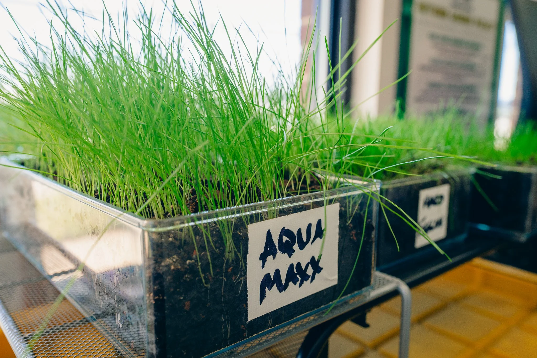 Turf and Gardening Store