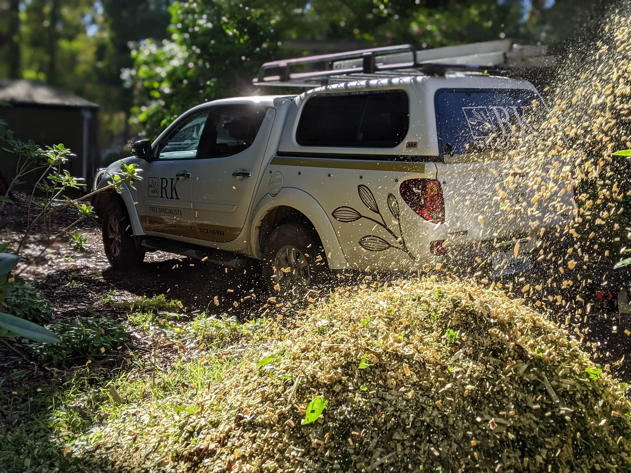 Professional Tree Services Brisbane