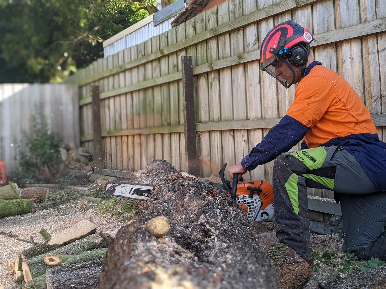 Professional Tree Services Brisbane