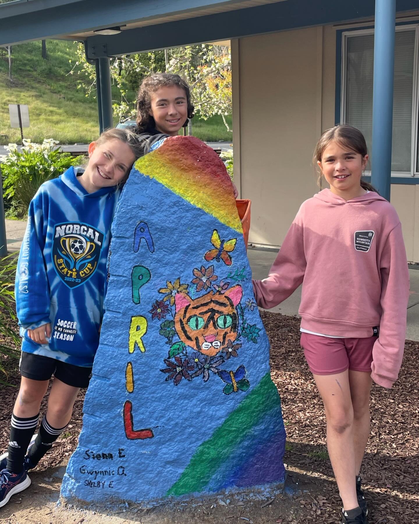 Tam Valley School PTA