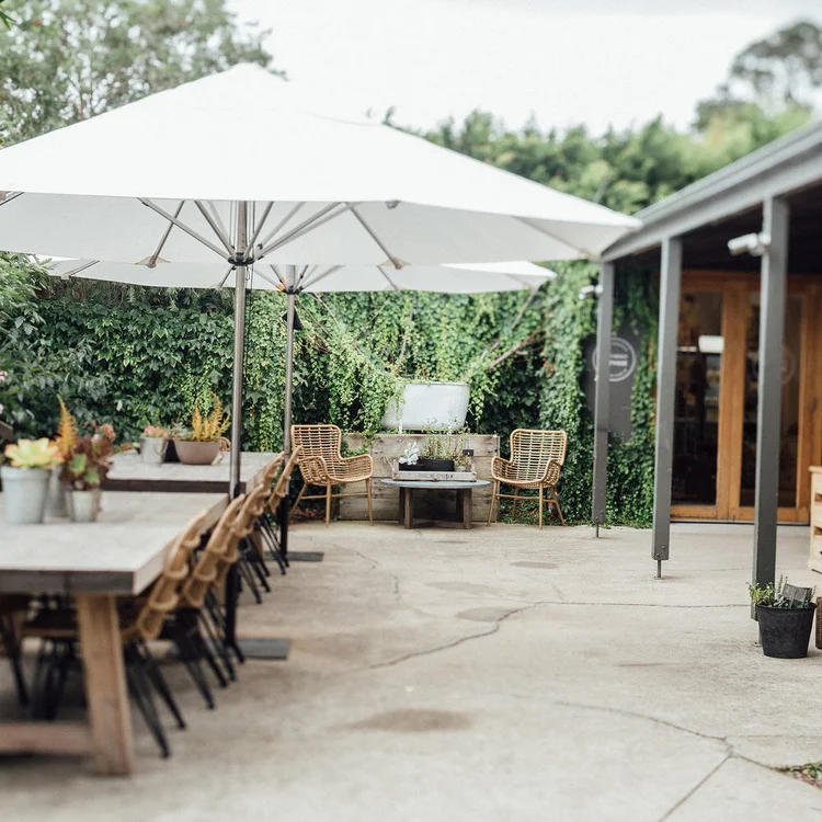 Red Hill Lavender Cafe & Farm Gate — Red Hill Lavender
