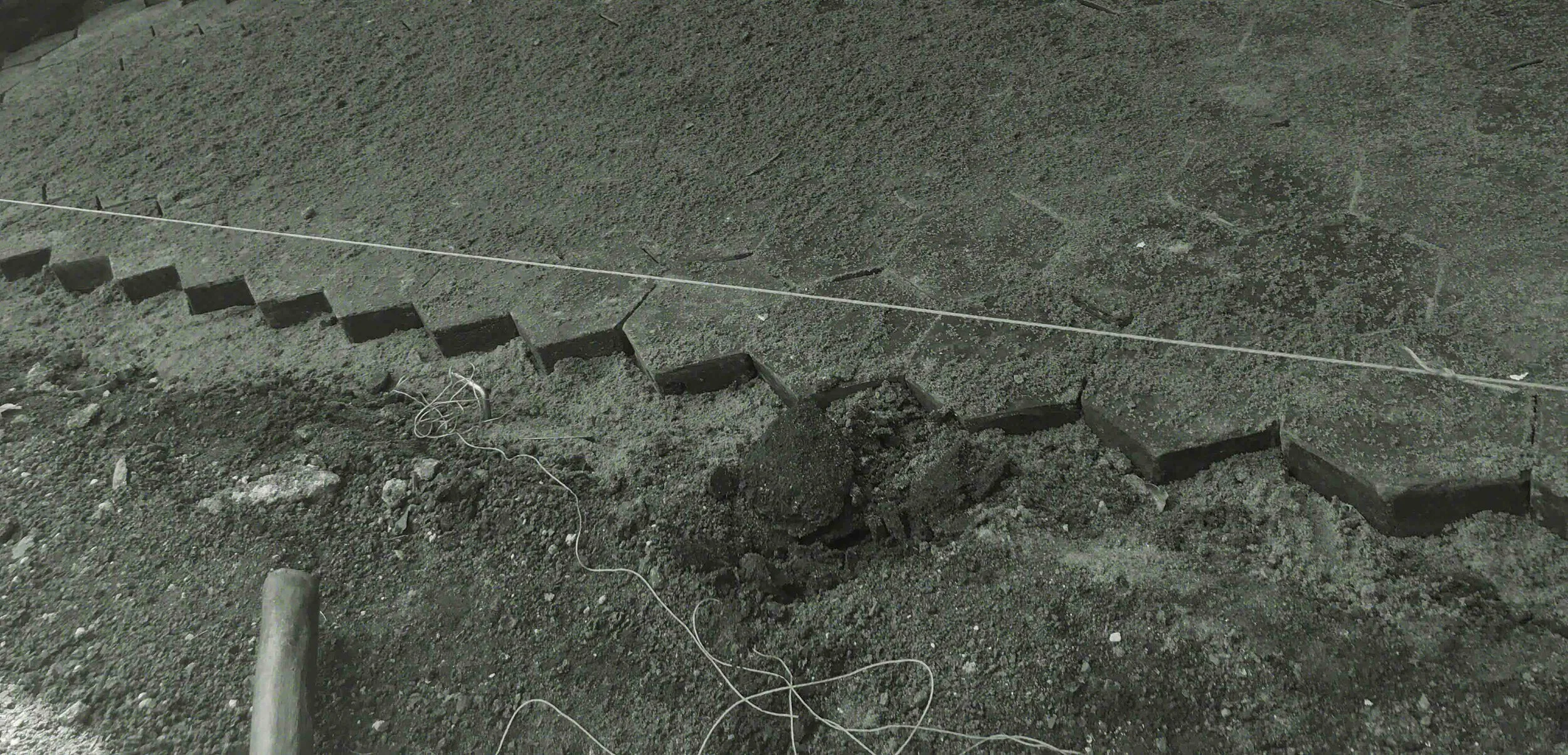 greenventuretanzania