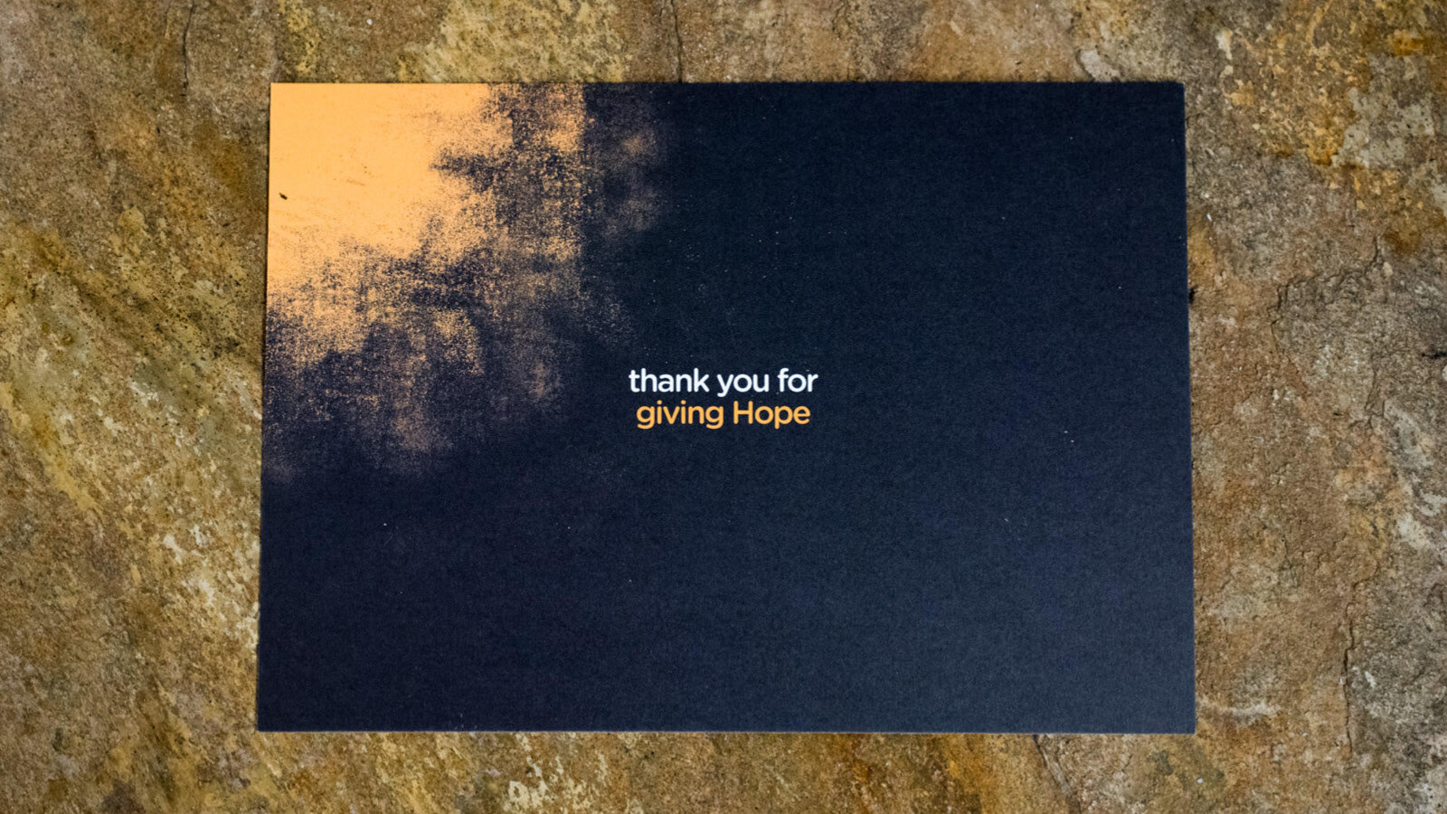 Seamab School brand development and campaign — StudioLR