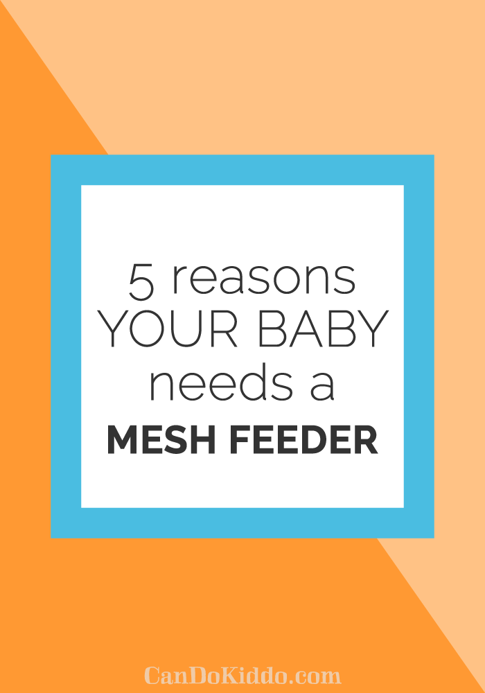 5 Reasons Your Baby Needs A Mesh Feeder | CanDo Kiddo