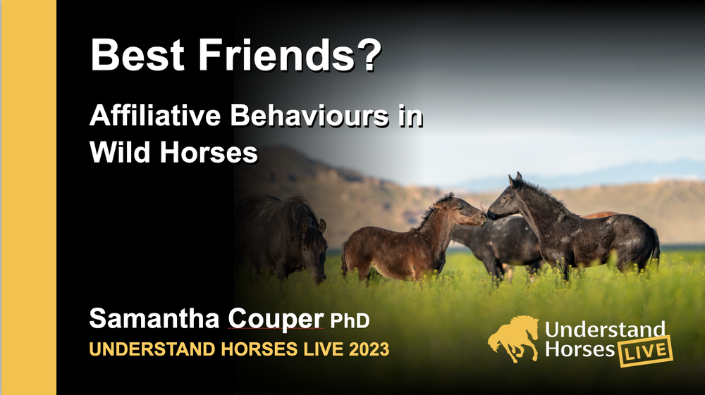 Understand Horses | Courses