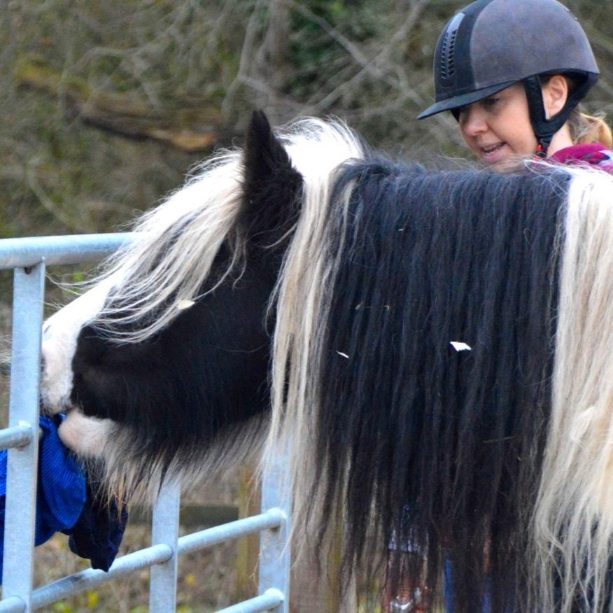 Understand Horses | Bad Girls? Understand Mare Behaviour Problems