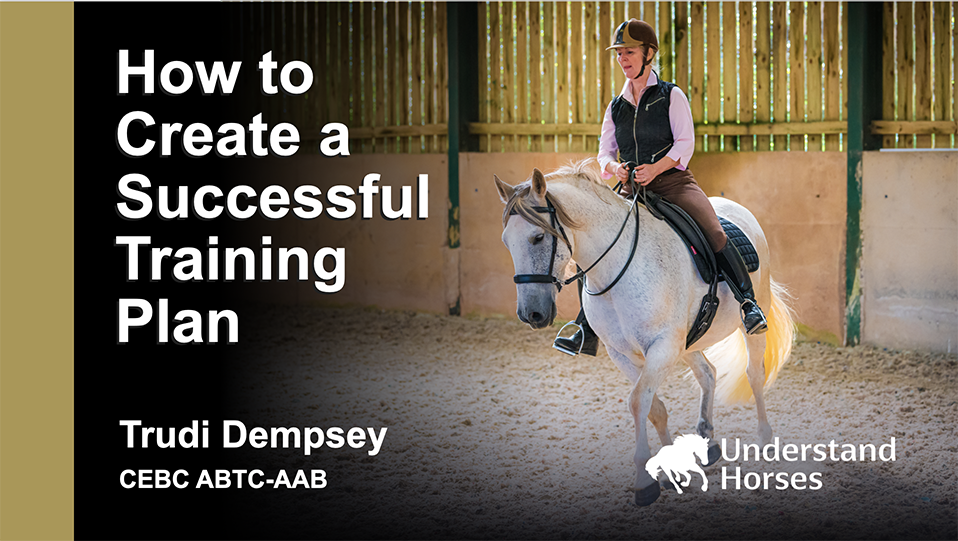 Understand Horses | Courses