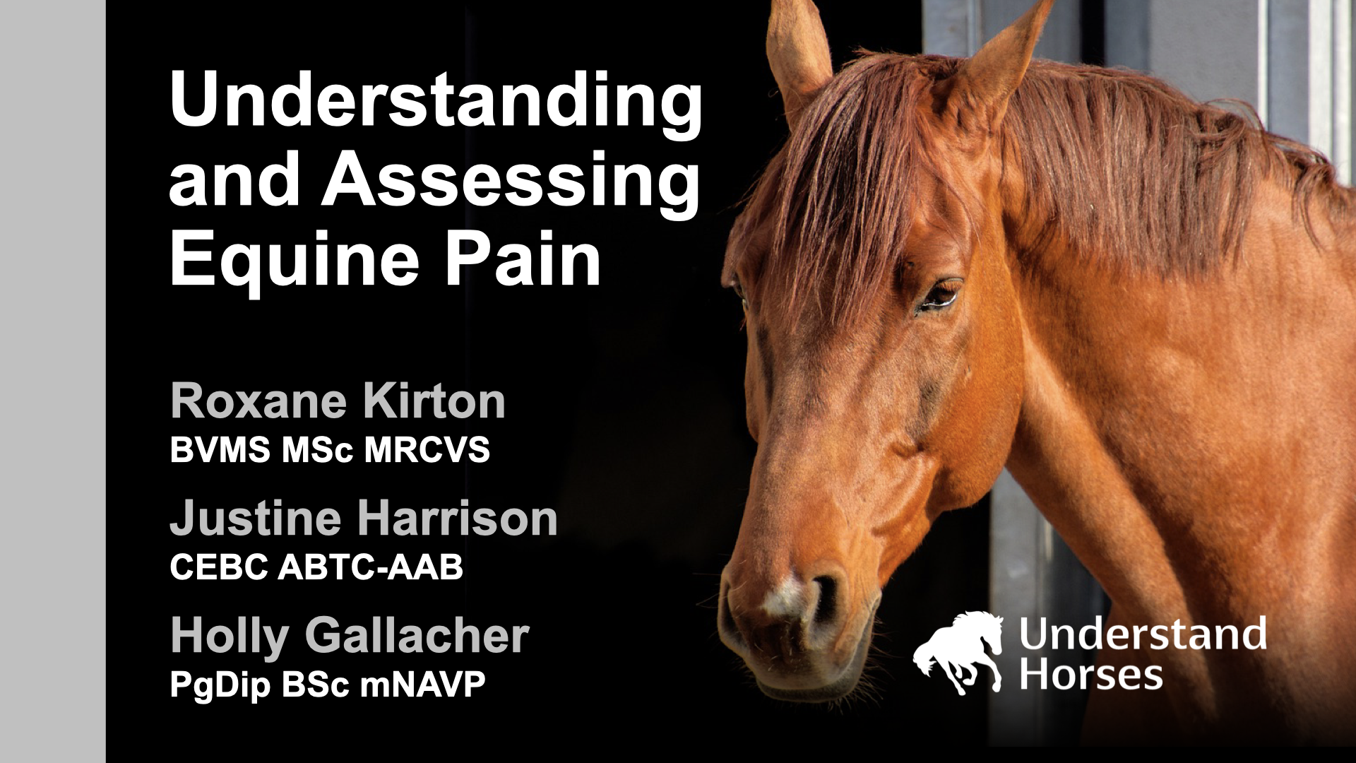 Understand Horses | Events