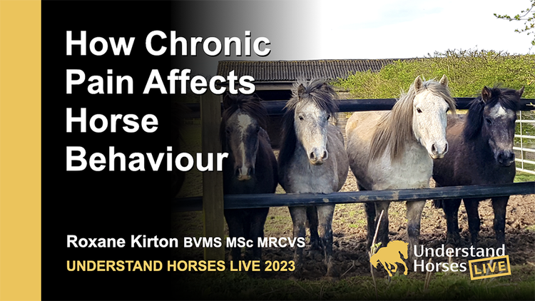 Understand Horses | Courses