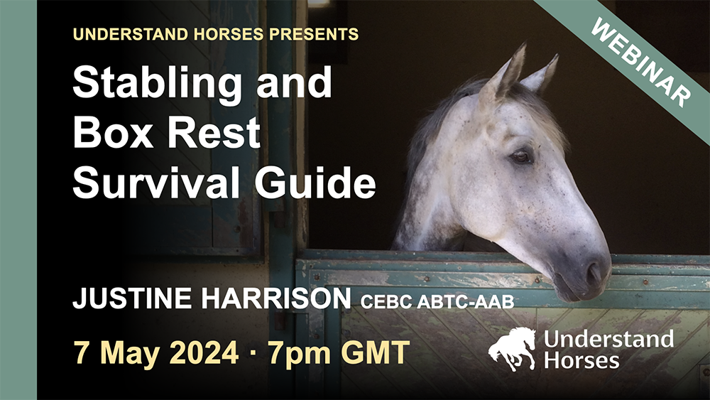 Understand Horses | Events