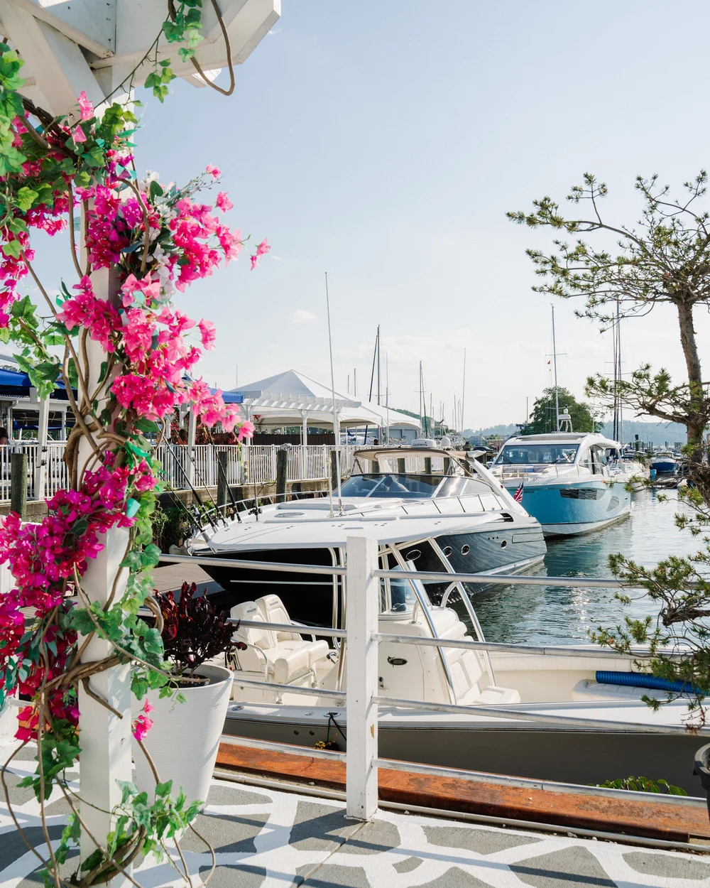The Cove Restaurant and Oyster Bar