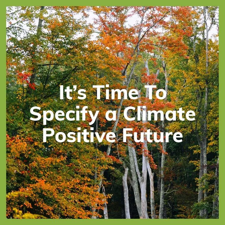 News — Climate Positive Now