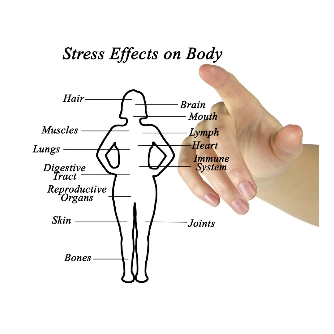6 strategies for managing your stress — Thrive Coaching & Development ...