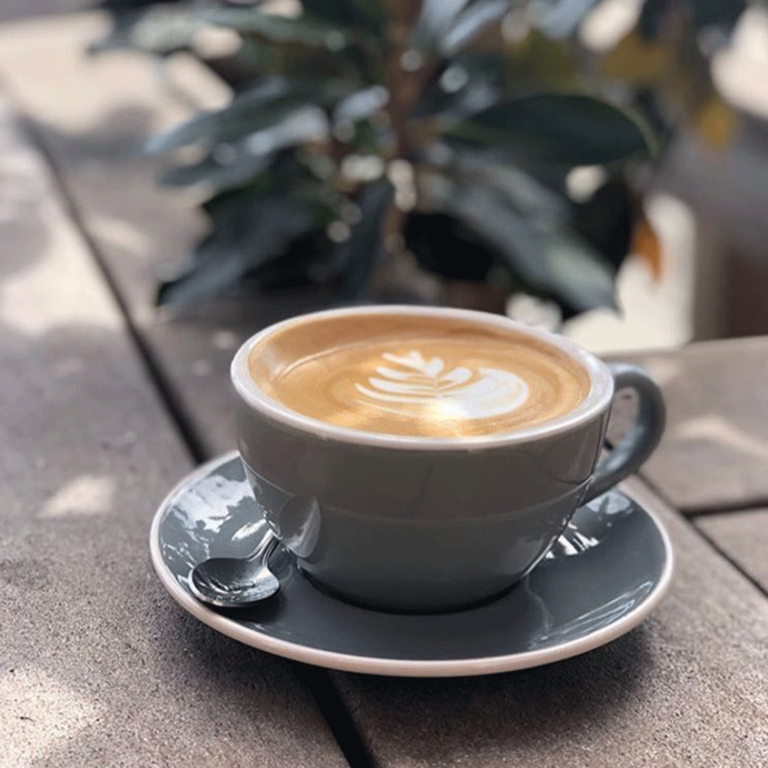 About — Laguna Coffee Co