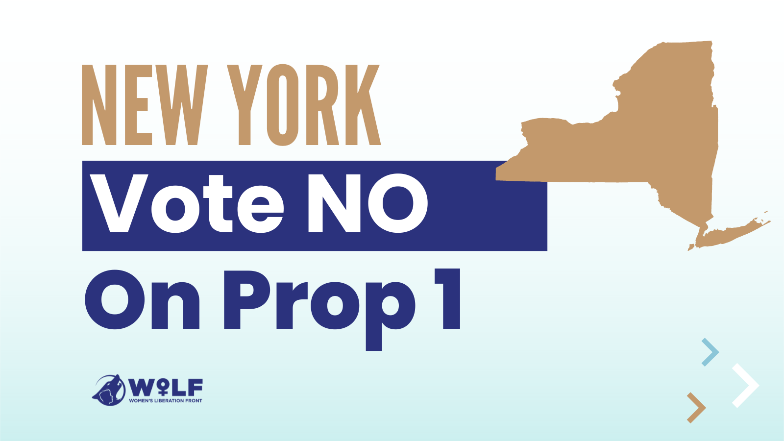 How the New York “Equal Rights Amendment” Fails Women — Women's ...