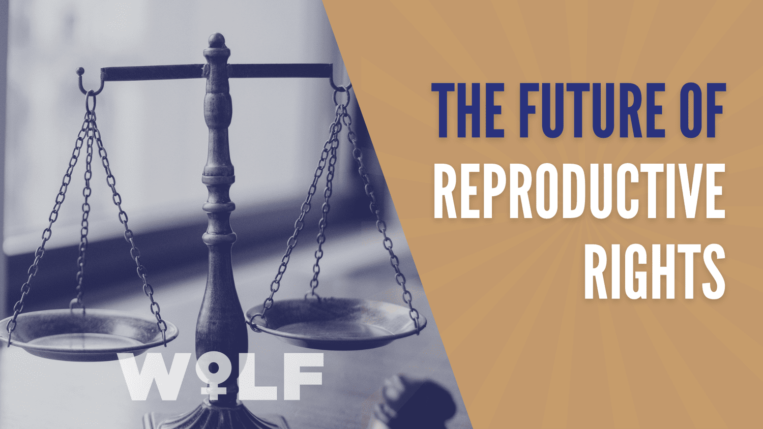 The Future of Reproductive Rights — Women's Liberation Front