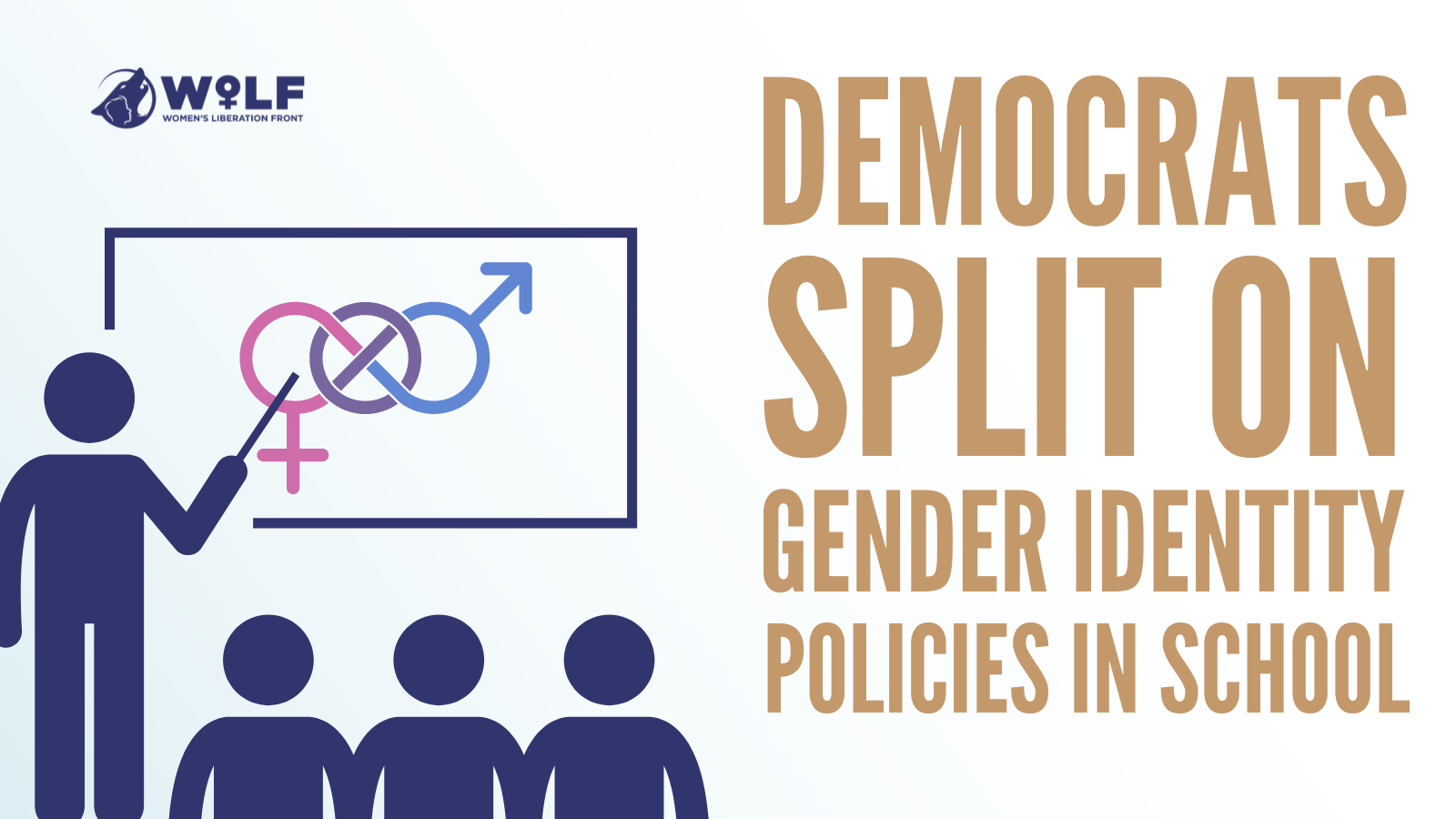 New Polls Show That Even Democrats Are Split on Gender Identity ...