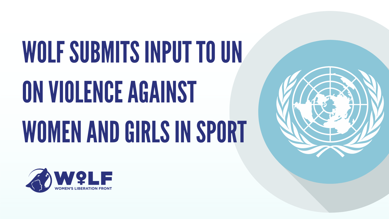 WoLF Submits Input to UN For Report Against Violence Against Women and ...