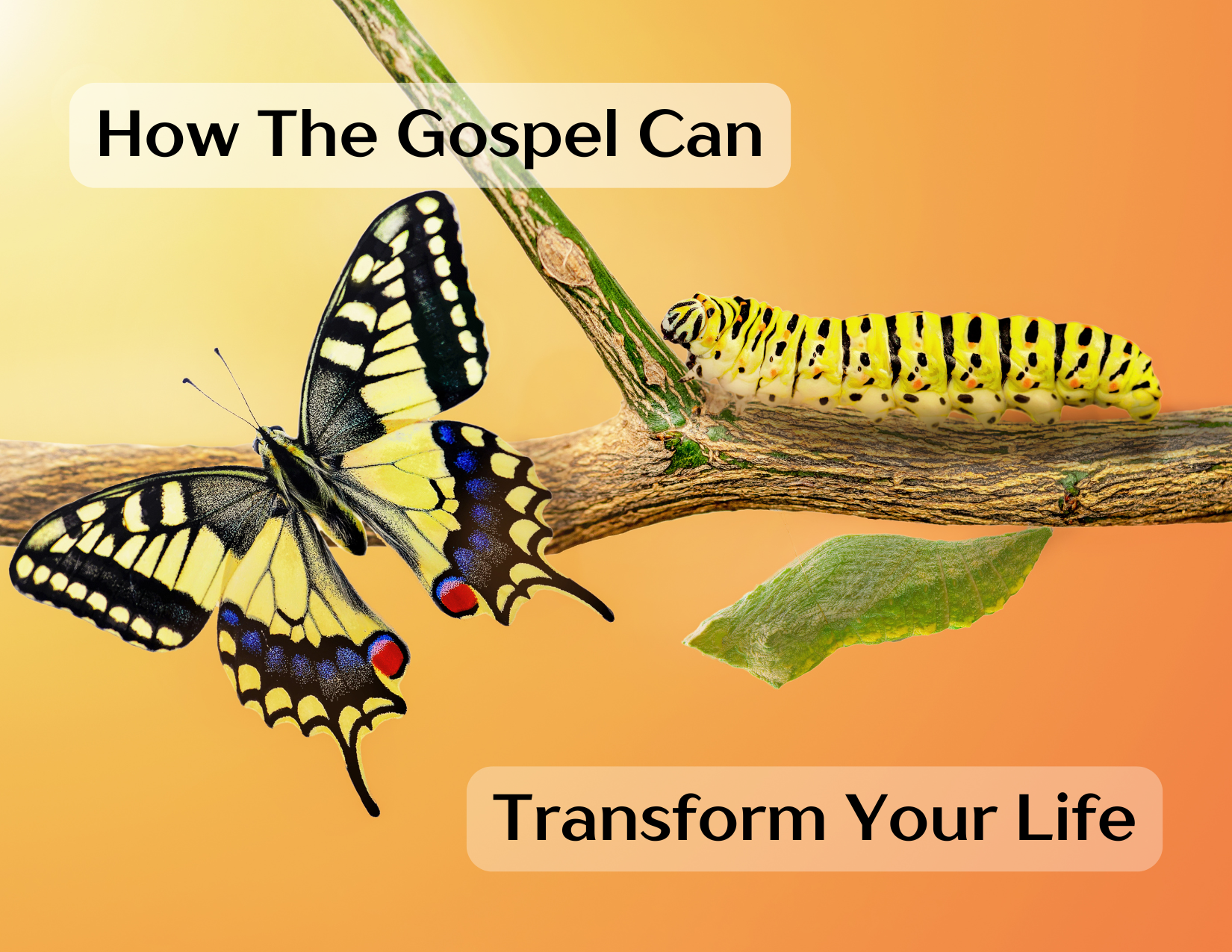 The Gospel Transforms Us Through Fervent Prayer Followed by Steps of ...