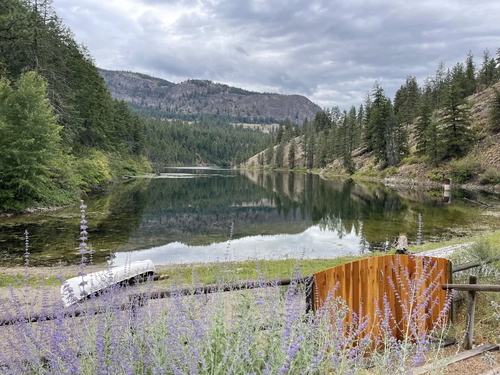 Mountain Springs Nature Retreat Certified Organic Farm B&B