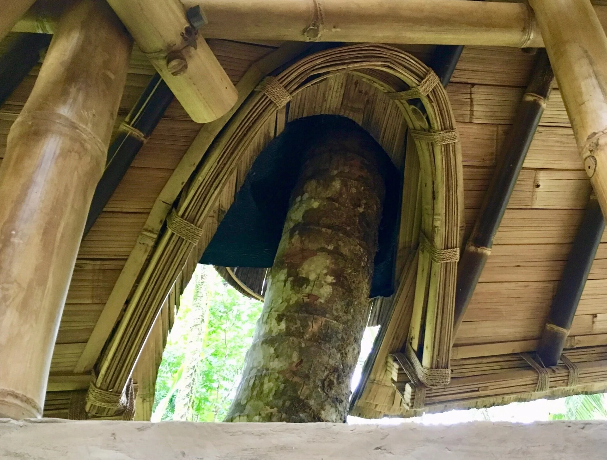 Bending Bamboo — Better Bamboo Buildings