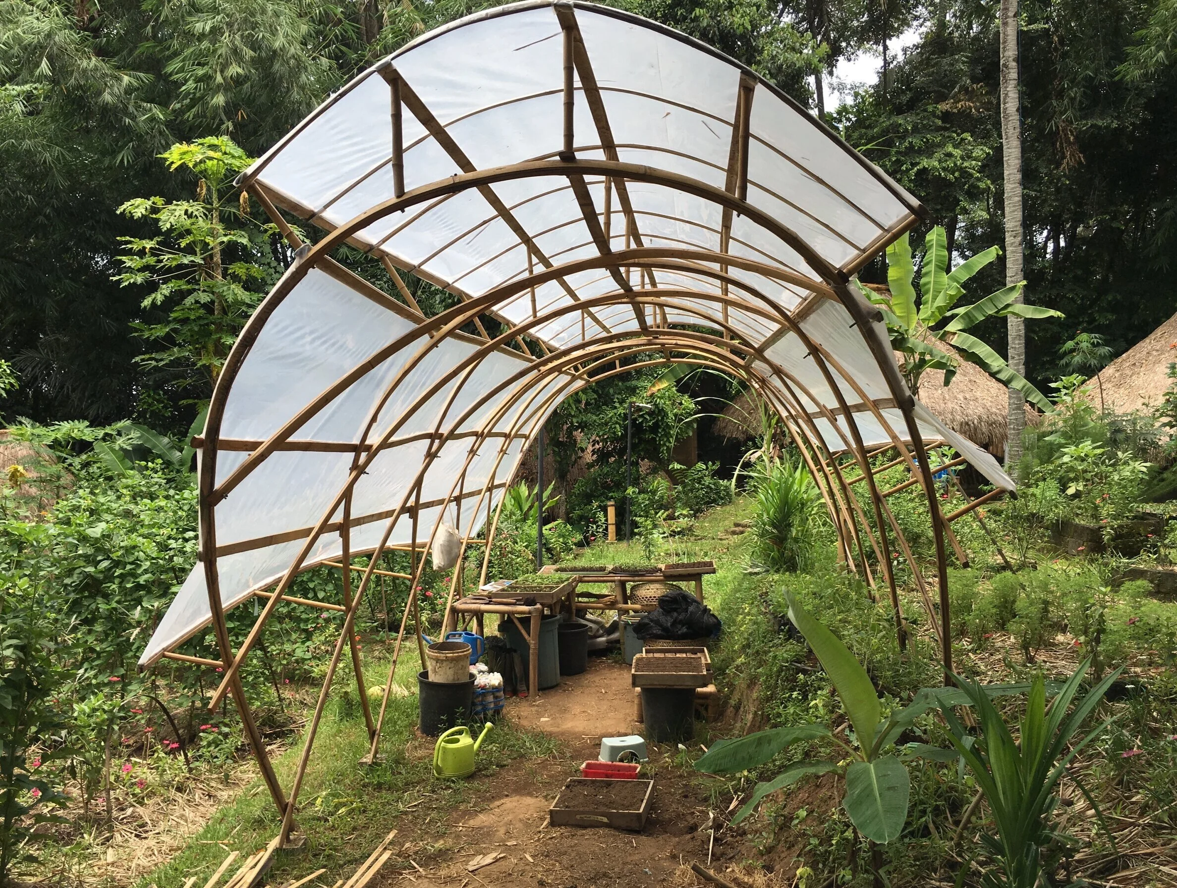 Bending Bamboo — Better Bamboo Buildings