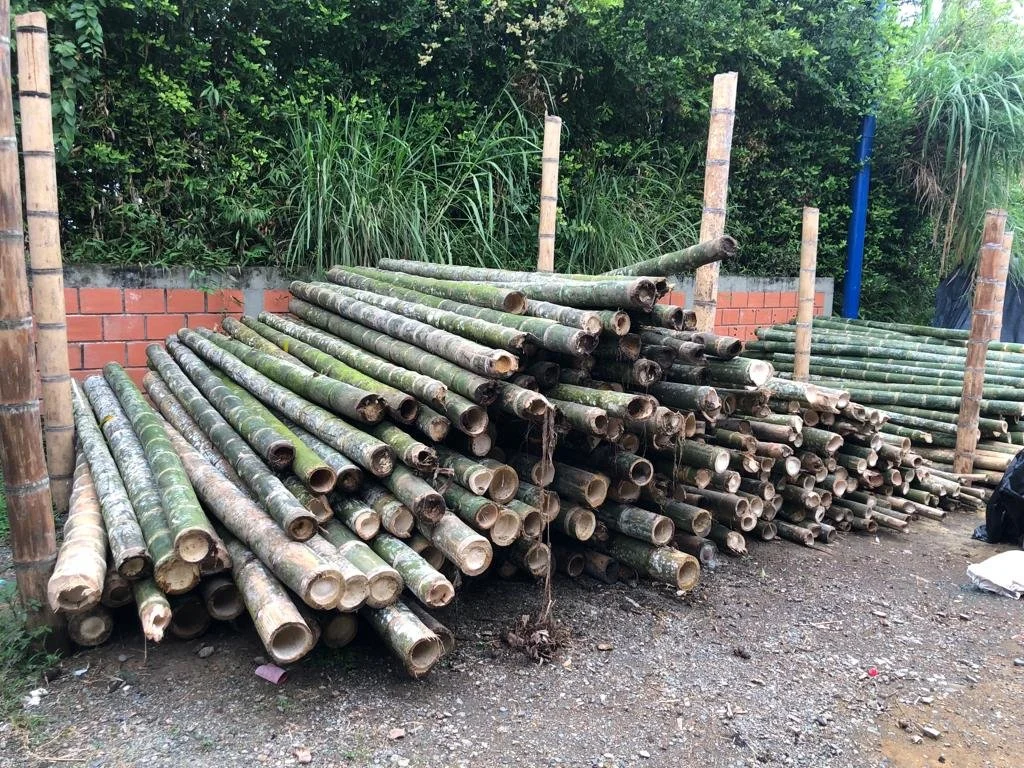 The Story of Pinboo Boards — Better Bamboo Buildings