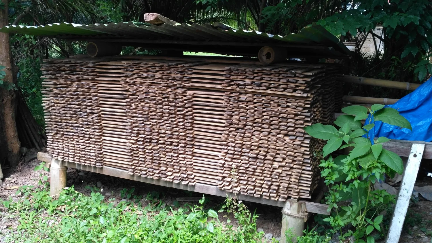 The Story of Pinboo Boards — Better Bamboo Buildings
