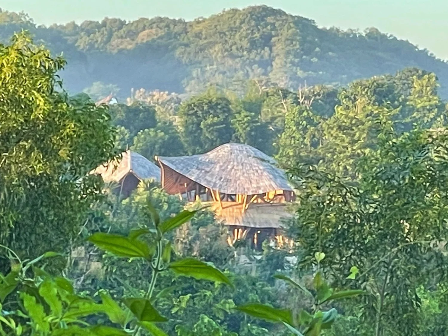 Bandido Bali 2 - combining bamboo and ferro cement — Better Bamboo ...