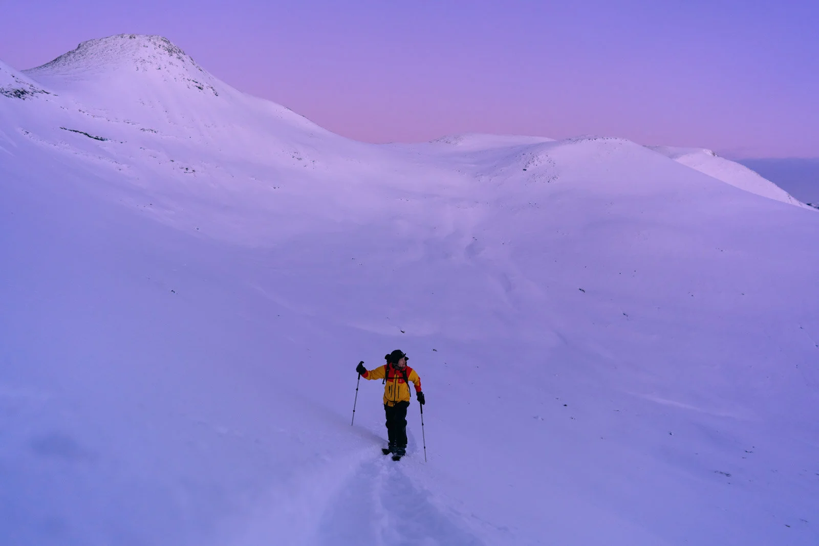 Arctic Lines