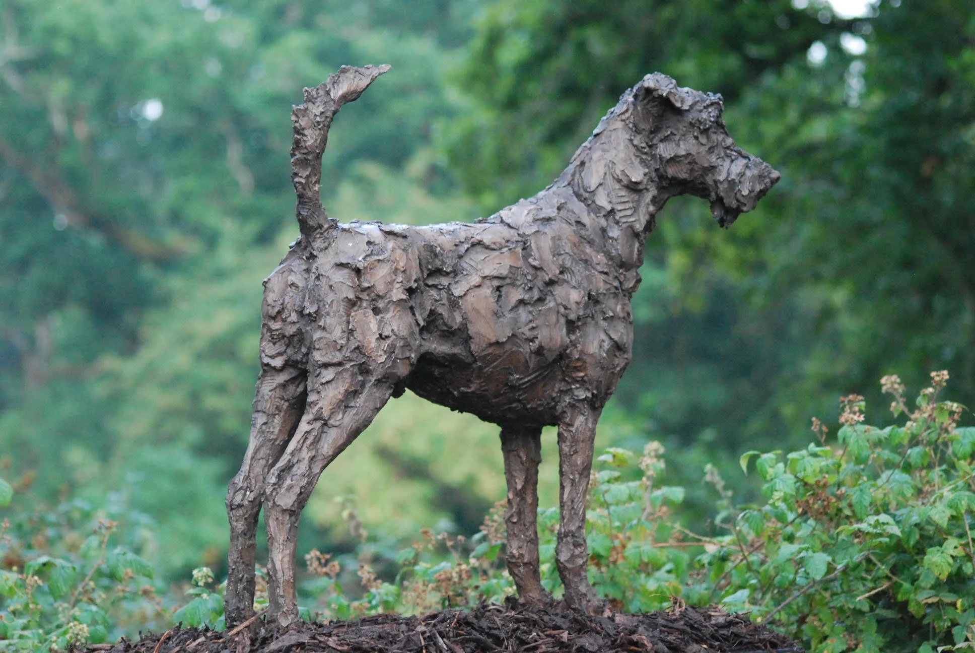 Murphy — Holly Hickmore Sculpture Ltd