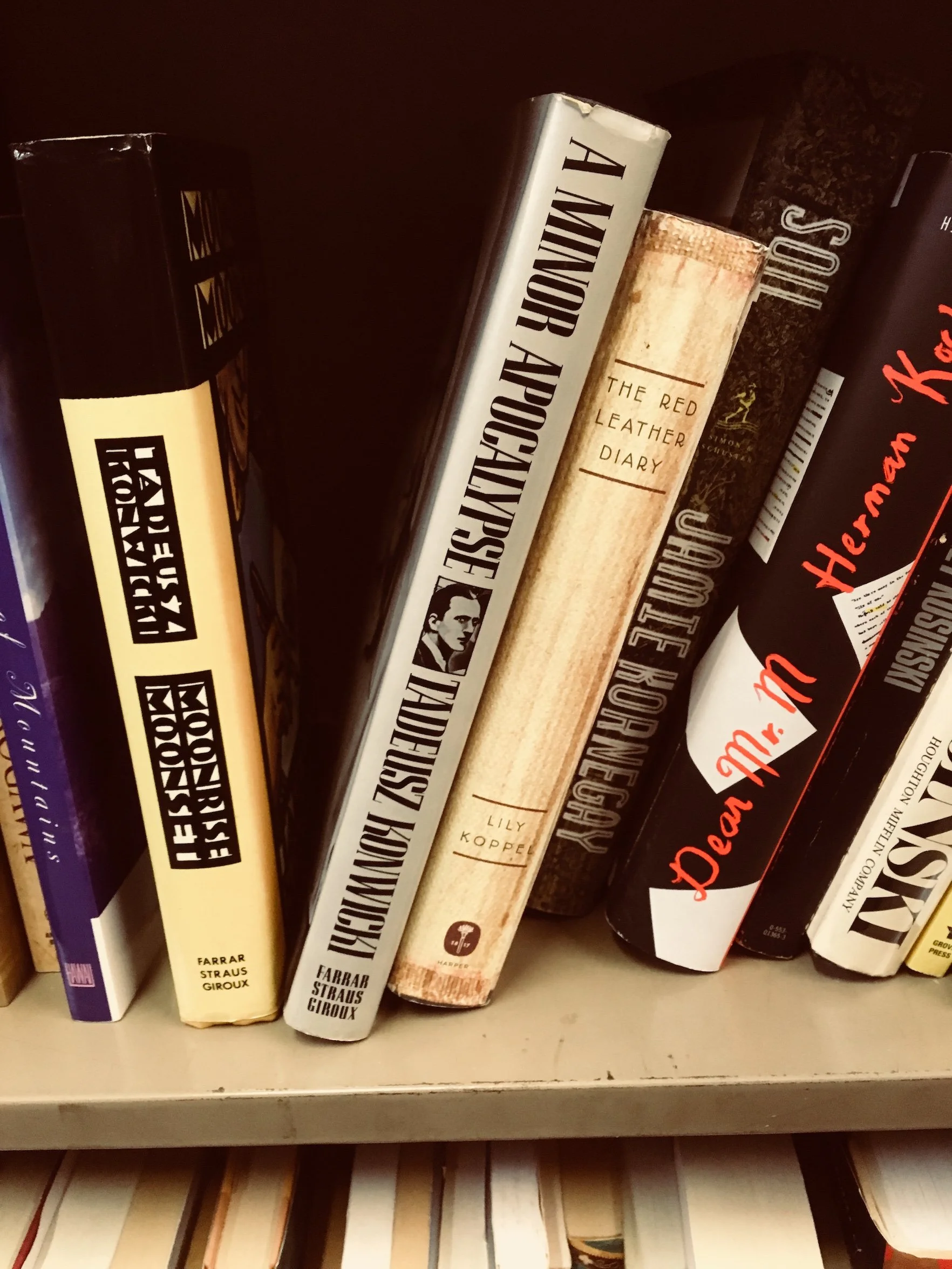 A winter’s touch — Jan Gajewski