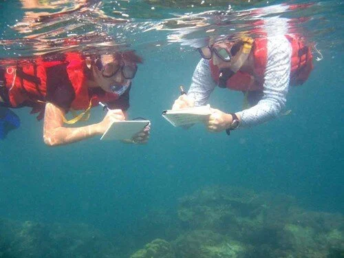 Citizen Science: How You Can Help Protect the Oceans — Pacific Asia ...