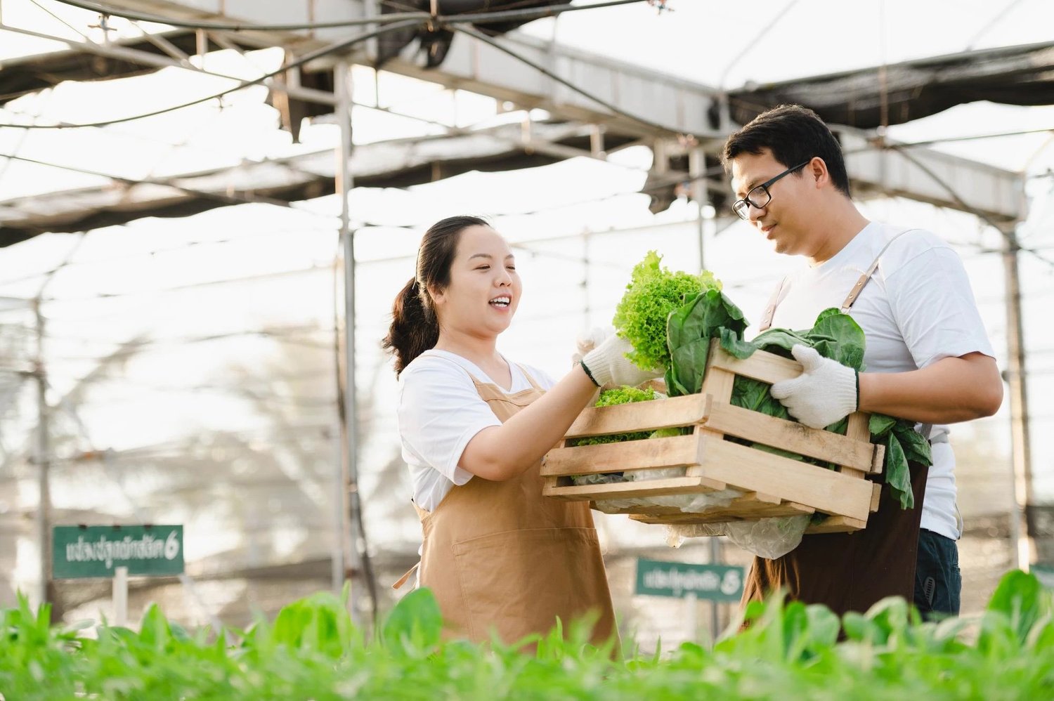 Dusit International Launches New Group-wide Sustainability Program ...