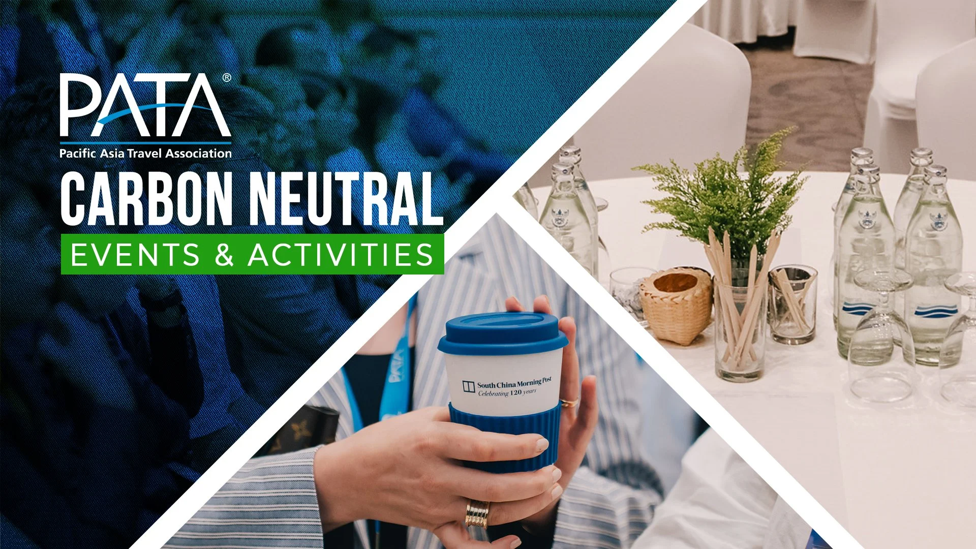 PATA Achieves Full Carbon Neutrality in 2024 — Pacific Asia Travel ...
