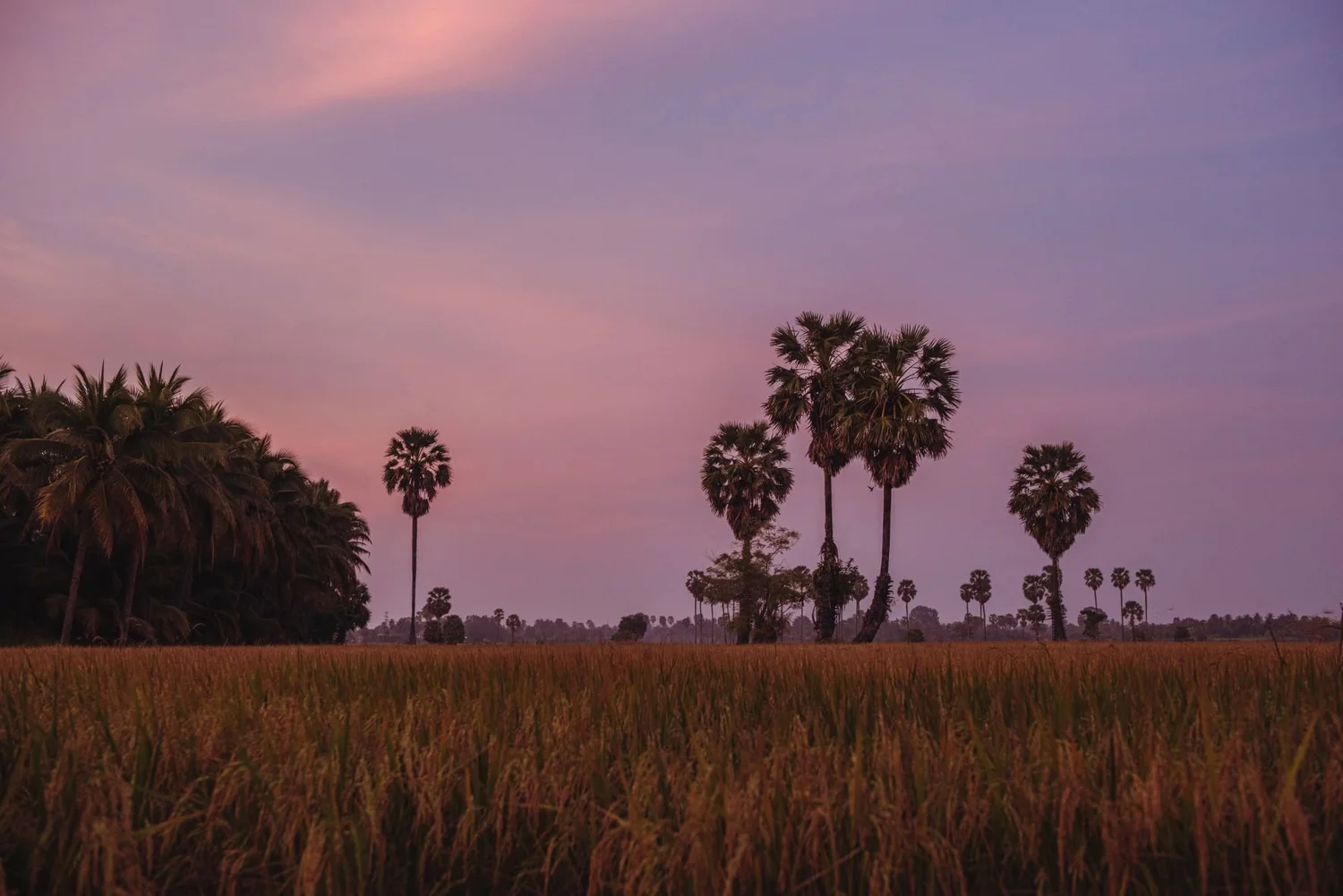 PATA Destination Marketing Forum 2024 — Pacific Asia Travel Association