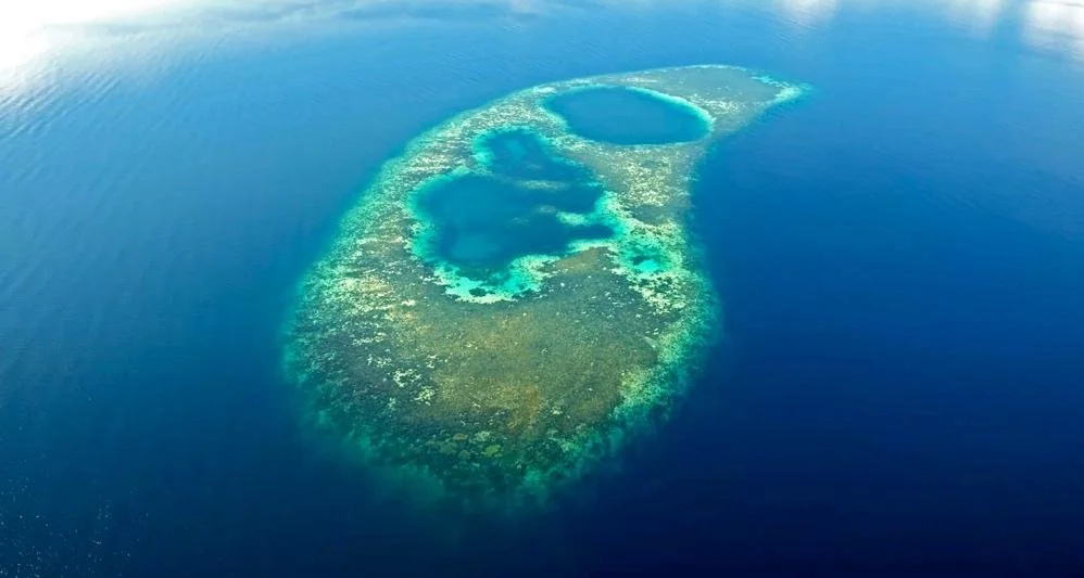 Borneo Nature Tours — Pacific Asia Travel Association