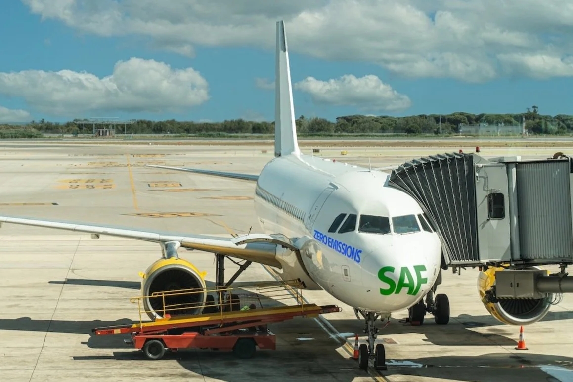 Embracing Sustainability in Travel: How the Travel Industry can Support ...