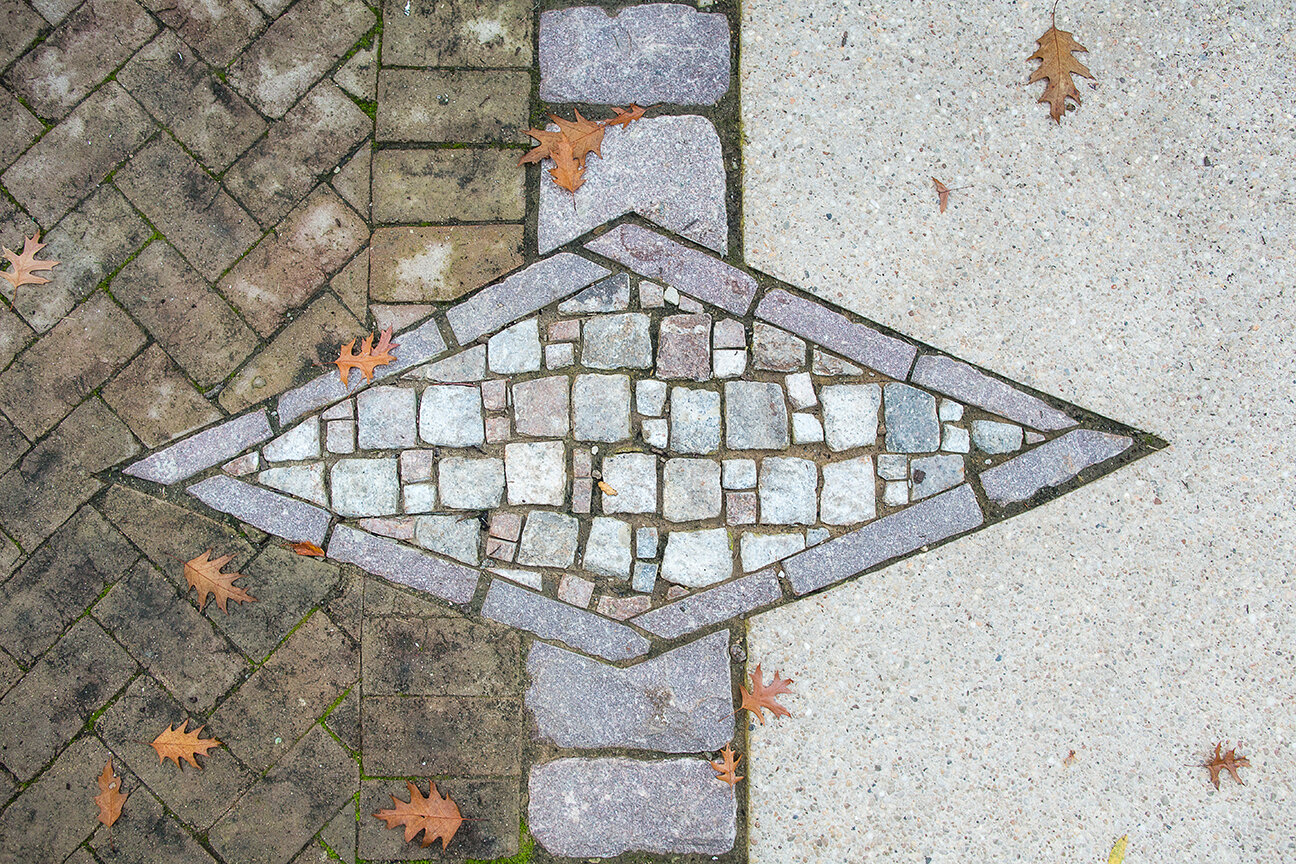 TREE TOPS — Aristotle Design Group