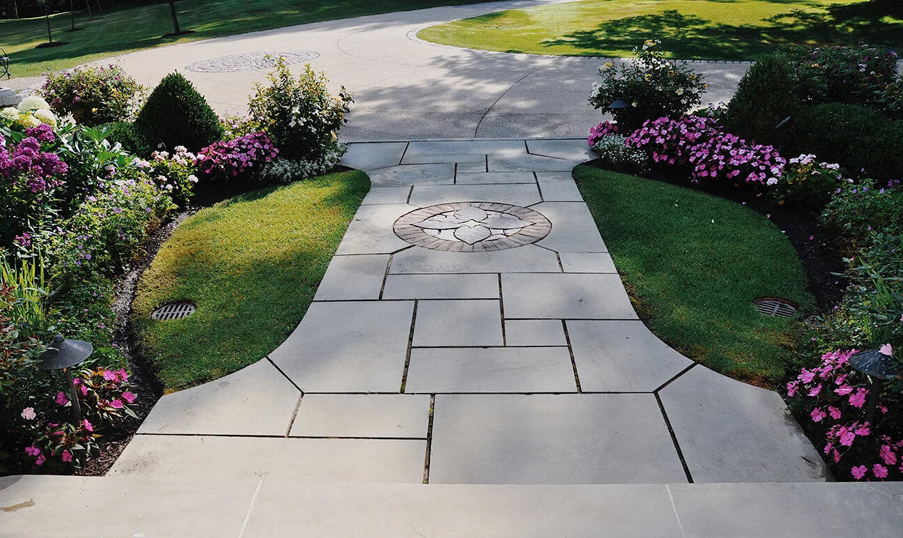 TREE TOPS — Aristotle Design Group