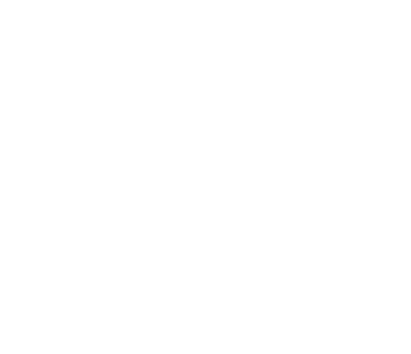 Lobo Motorcycle