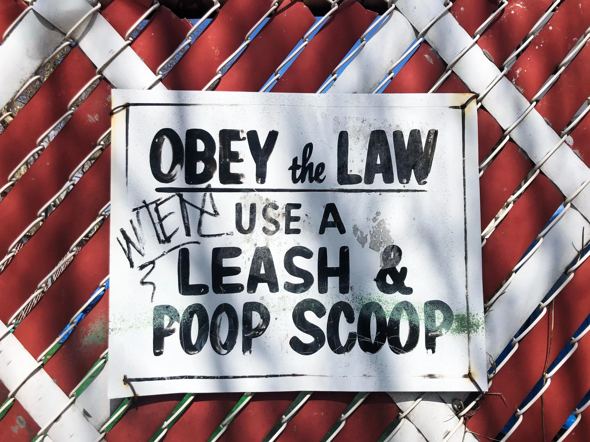 Is It Illegal To Not Pick Up Your Dog s Poop In Ontario Oduraa Legal Services is-it-illegal-to-not-pick-up-your-dog-s-poop-in-ontario-oduraa-legal-services